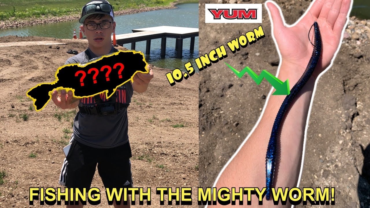 HUGE 10.5 Inch WORM Catches MONSTER Fish AT Pressured POND! (Must Watch ...