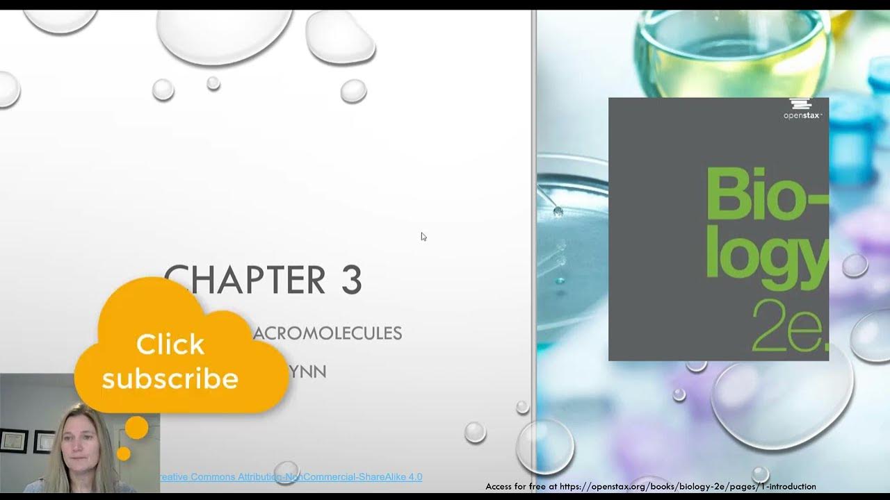 Chapter 3 1 Synthesis Of Biological Macromolecules Youtube