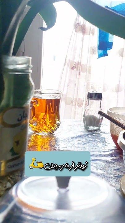 ولاگ سفر شمال بعد امتحان میچسبه🌊🦩shortvideo Shorts مینیولاگ Vlog ولاگ ولاگ فارسی ولاگ