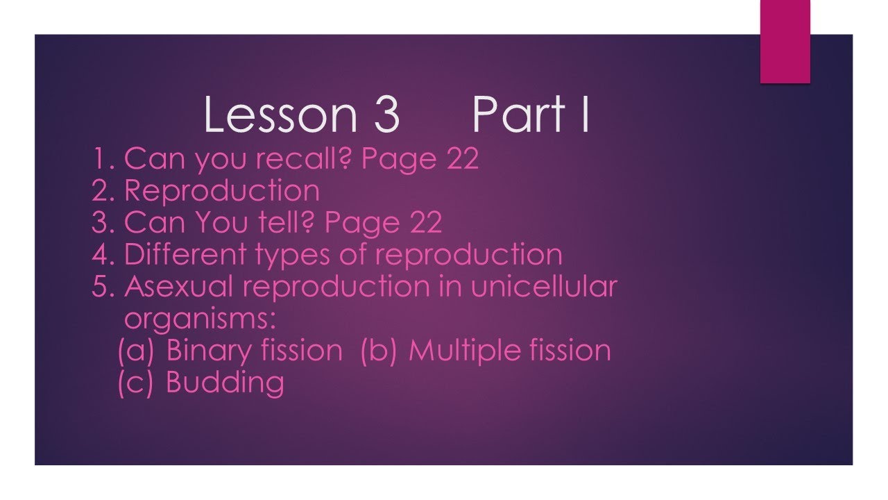 SSC 10th Science II| Chapter 3| Life Processes in Living organisms Part ...