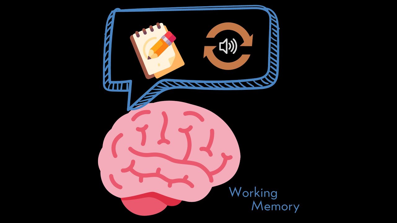 Executive Functions - Working Memory: Your Mental Note-Pad - YouTube