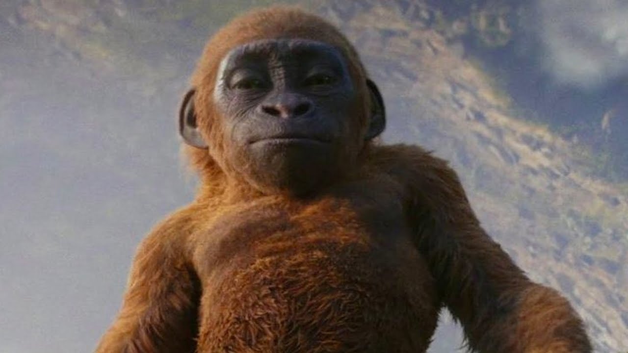 Ostrich poop hunting so we can feed baby ostrich 💩💩💩💩💩 - YouTube