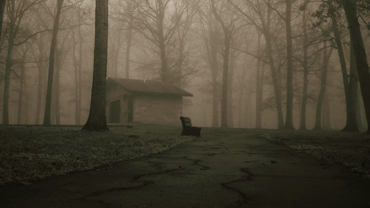 terrible night Live Stream - YouTube