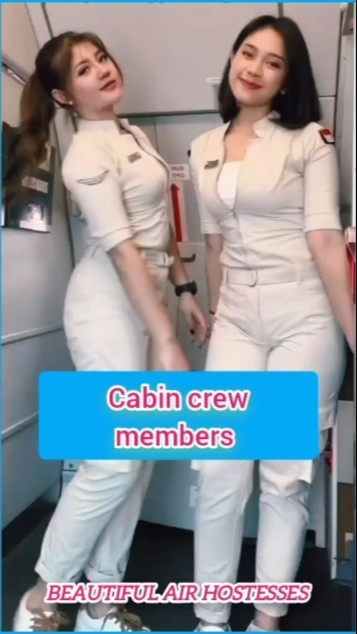 Cabin crew members ️ ️ #song #bollywood #love #music #cabincrewday # ...