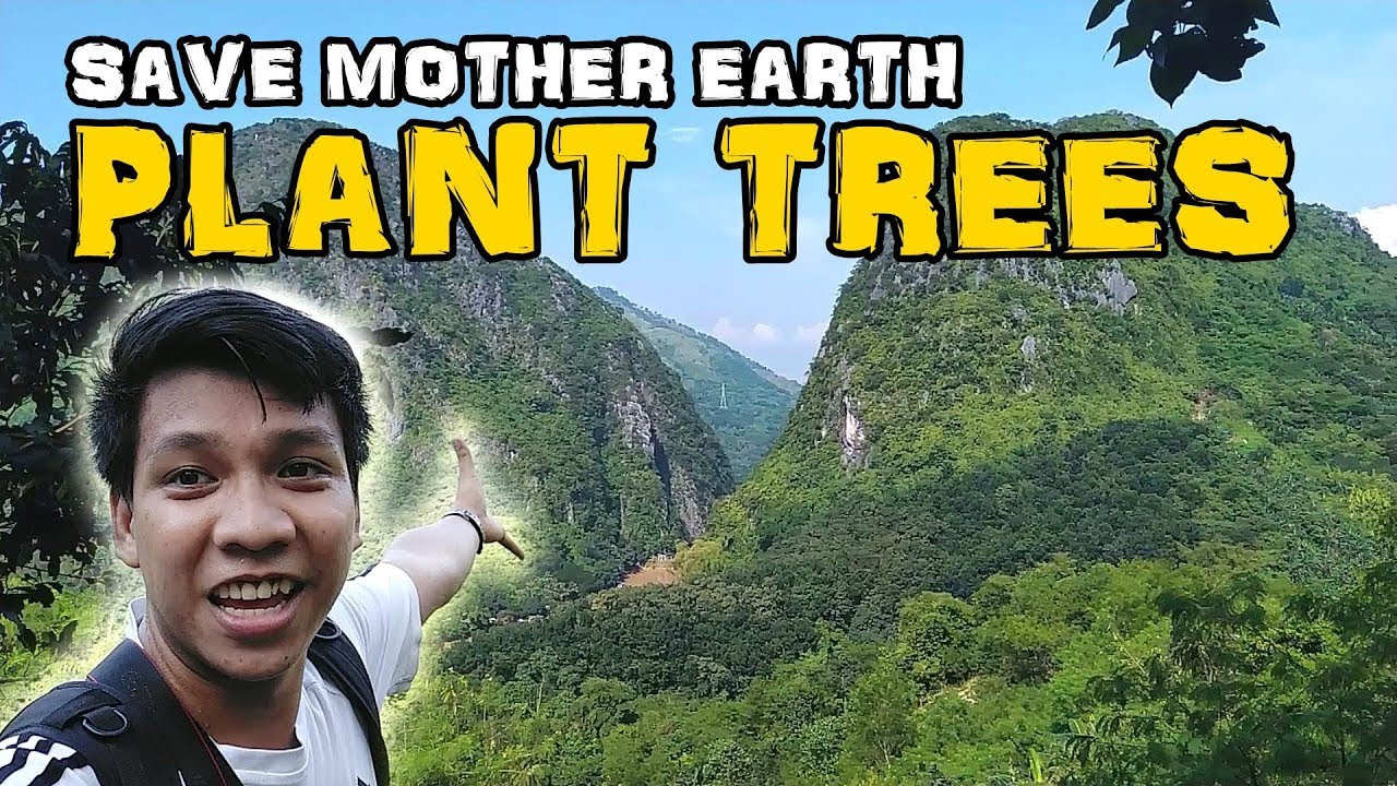 Plant More Trees Save Our Future Generations - YouTube