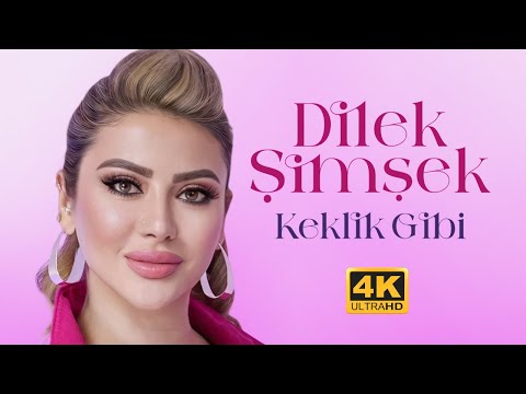 Dilek Şimşek - Keklik Gibi Kanadımı Süzmedim © 2024 (Official Video) 4K