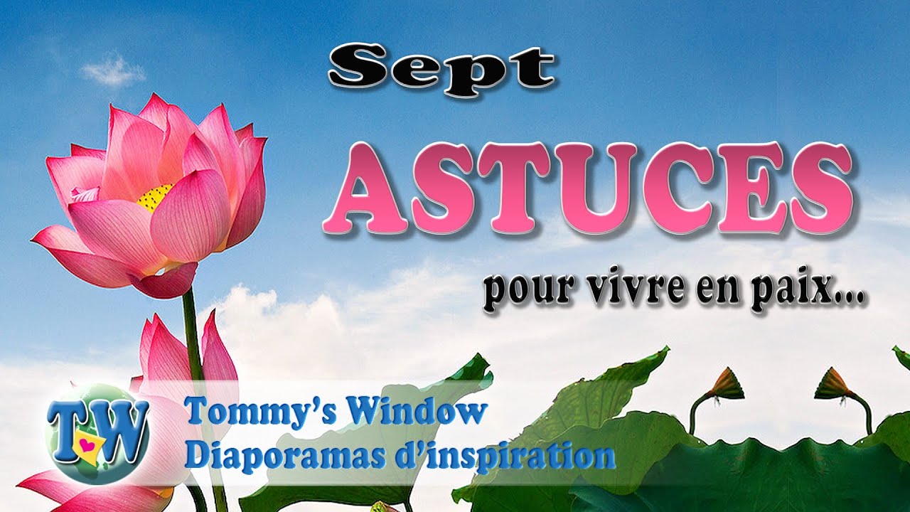 Sept astuces pour vivre en paix - Tommy's Window Français - YouTube