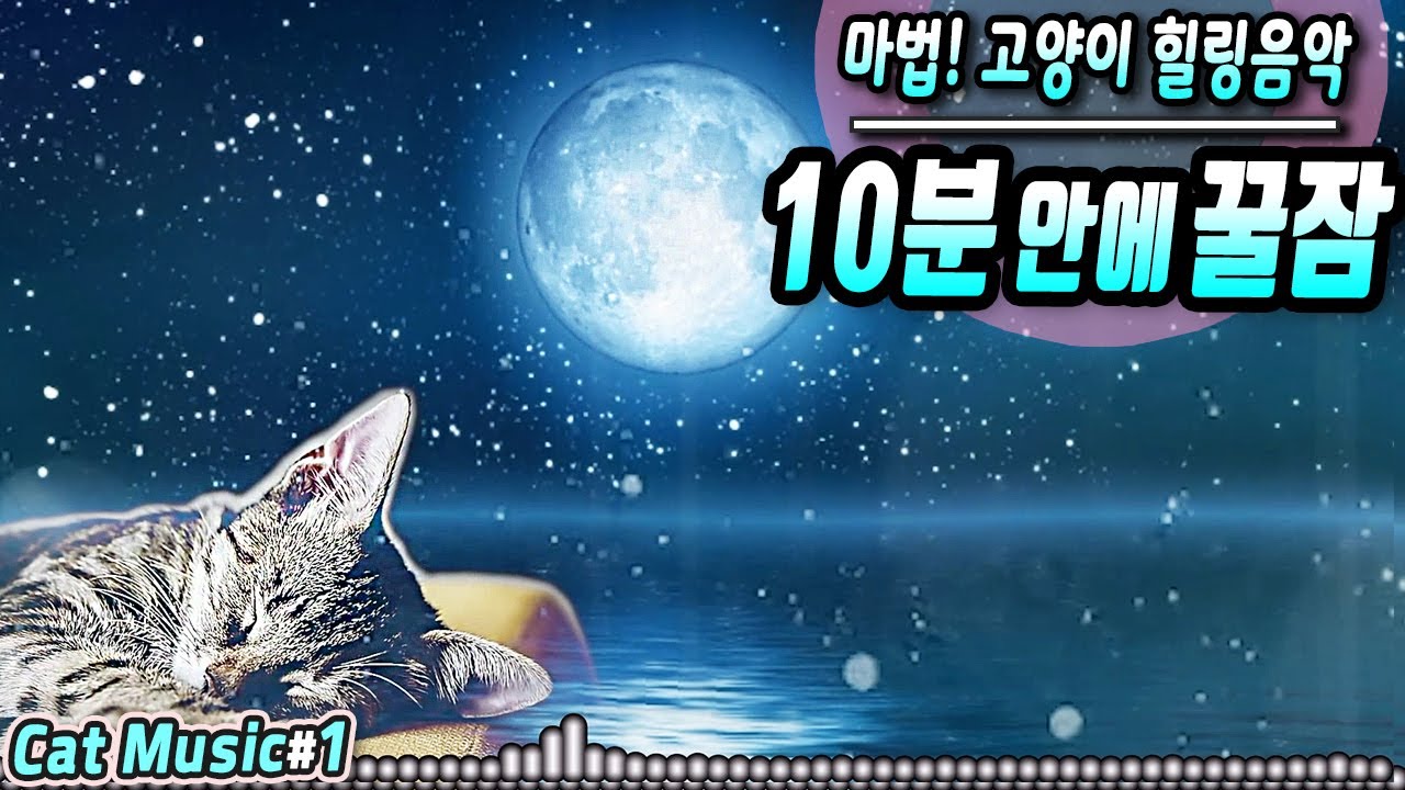 ðê³ ììŽ ì멎 ìì
ðµ 10ë¶ìì ê¿ì ~ð€ ë§ë² Asmr íŽëì ê³ ììŽê° ì¢ìíë ìì
ð§ Youtube