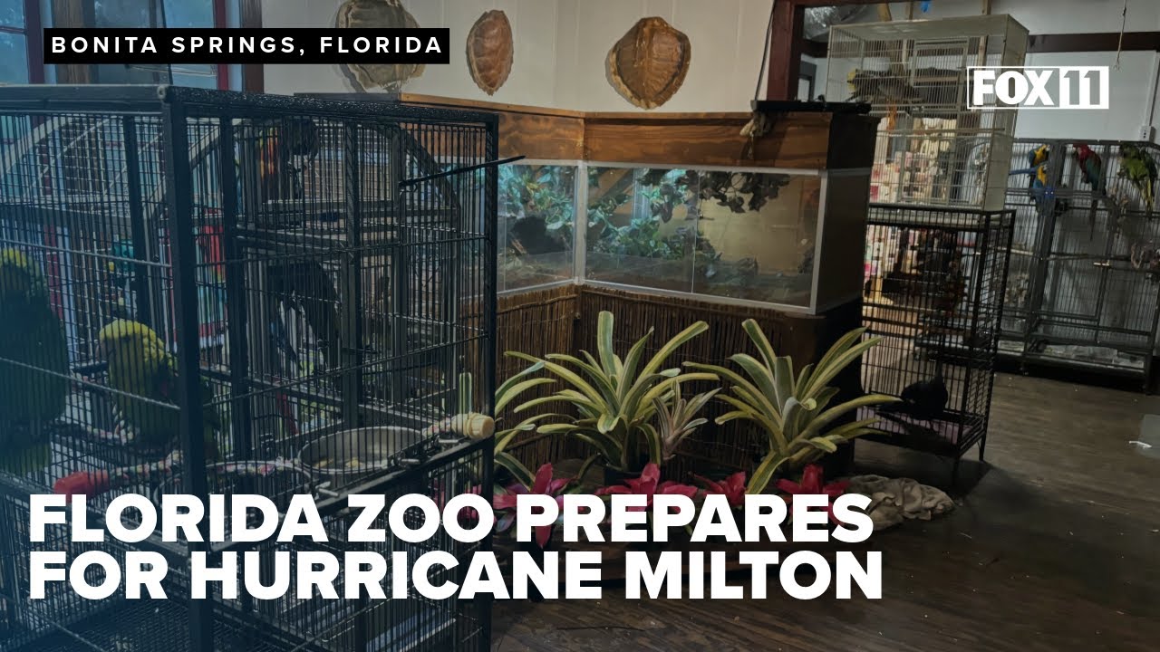 Former NEW Zoo director prepares for Hurricane Milton at Florida zoo ...