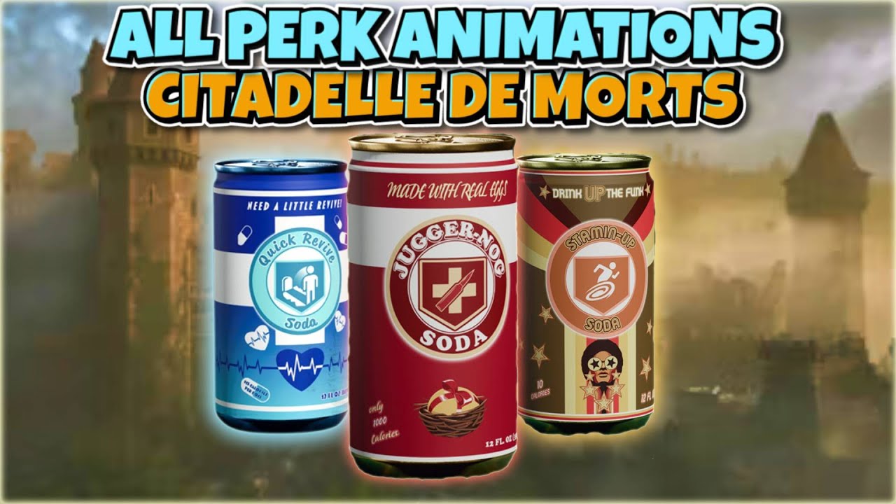 ALL PERK LOCATIONS AND ANIMATIONS ON CITADELLE DE MORTS | Black Ops 6 ...