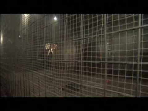 Lockheed Martin's MKV (Multiple Kill Vehicle) Test - YouTube