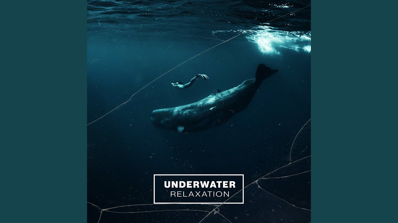 Deep Diving - YouTube