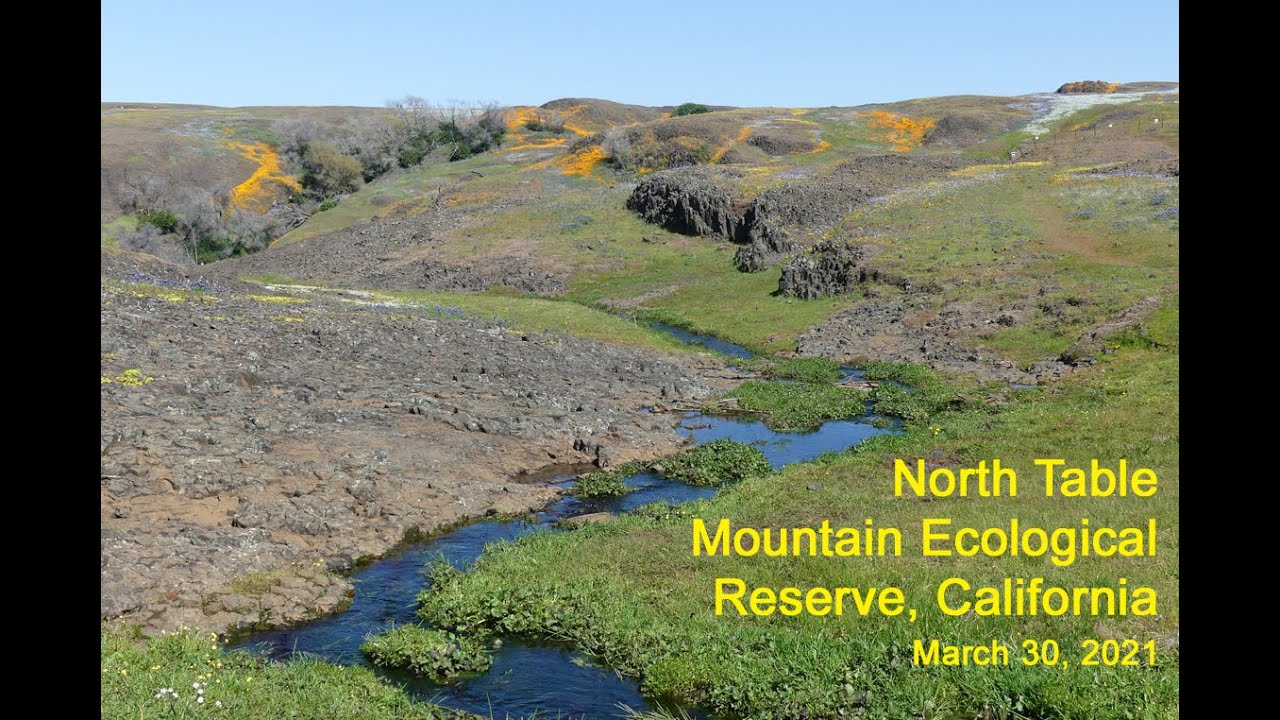 North Table Mountain Ecological Reserve - YouTube