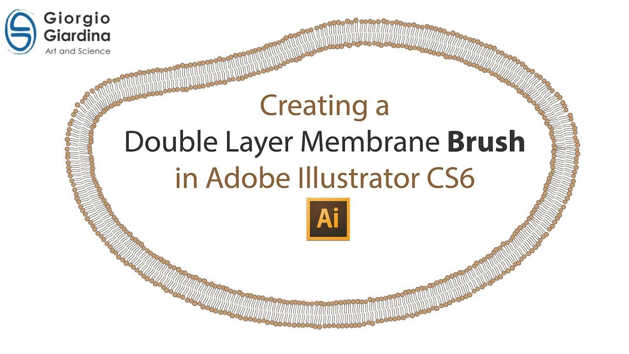 Creating a membrane Brush in Adobe Illustrator CS6 - YouTube
