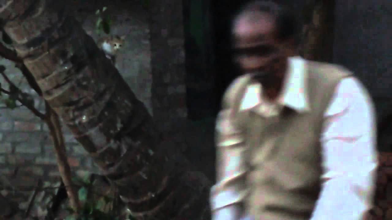 the old man climbing on the tree - YouTube