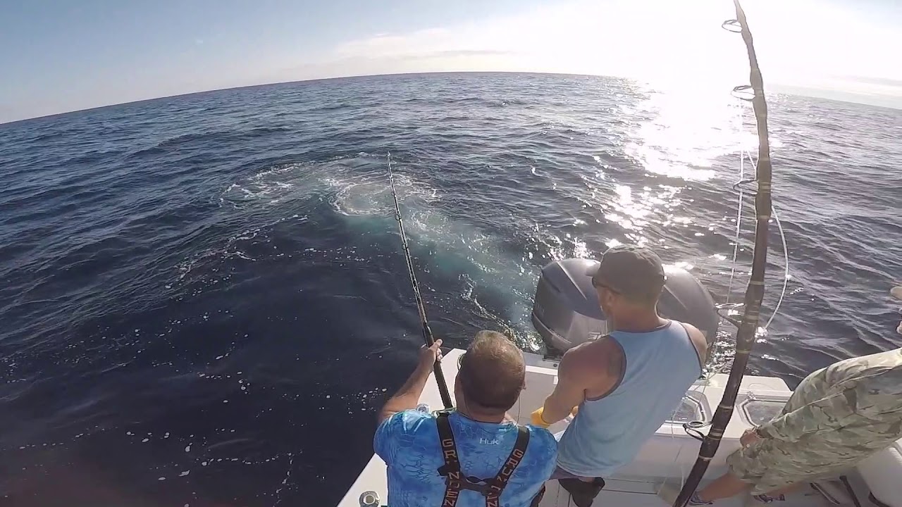 Marlin Contender 32ST - YouTube
