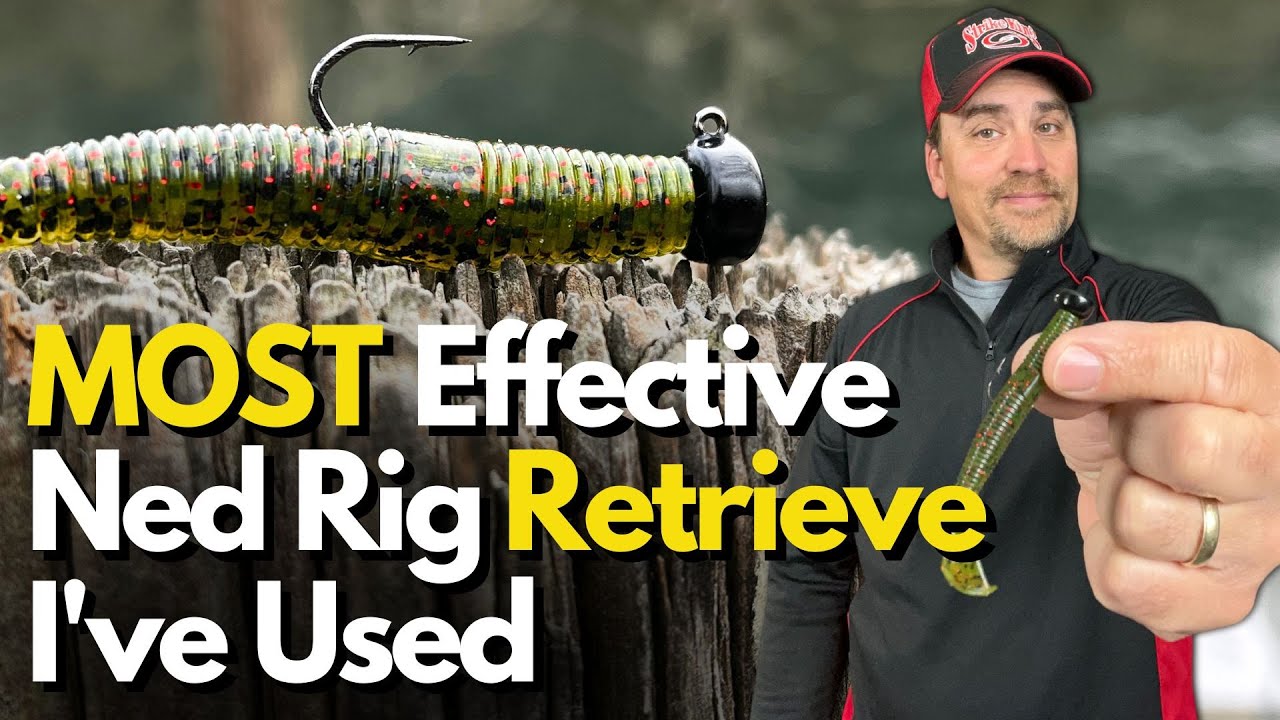 The MOST Effective Ned Rig Retrieve I've Used - YouTube