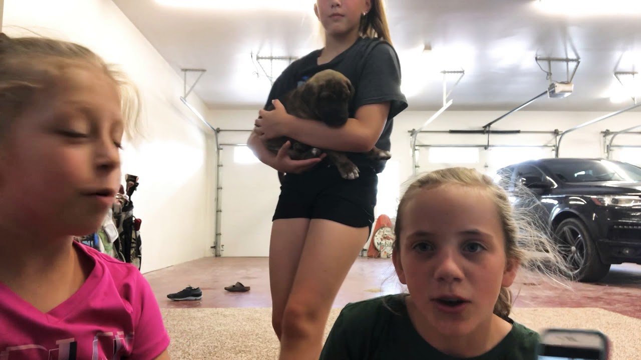TRIPLE YOGA CHALLENGE!! - YouTube