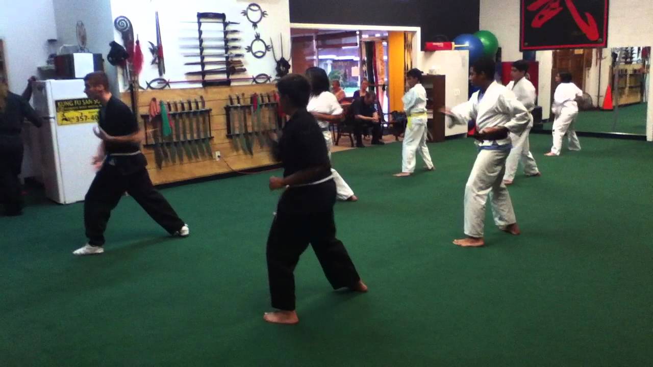 Kung Fu San Soo: Hung Ga Form Sets 1-2 - YouTube