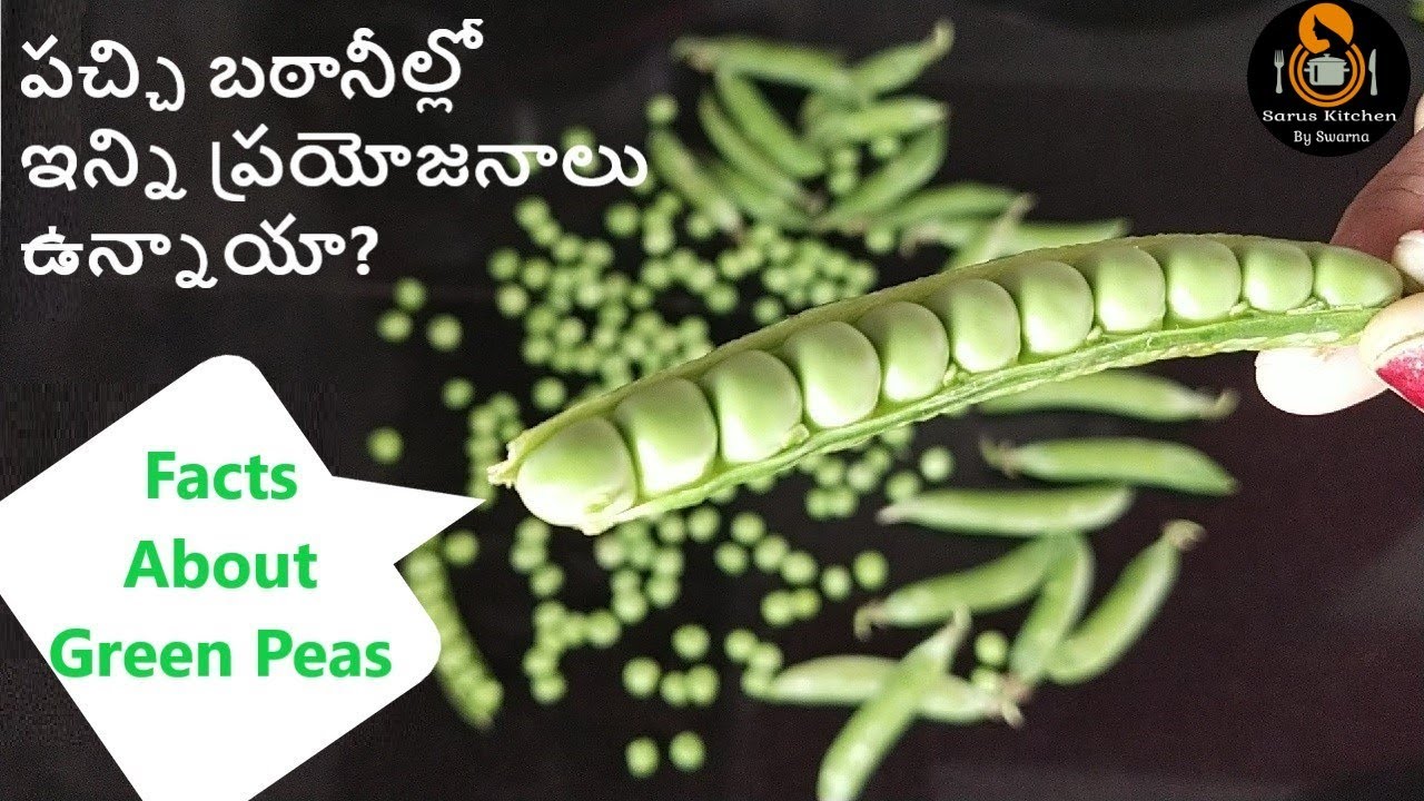 28 Fun And Interesting Facts About Peas Tons Of Facts