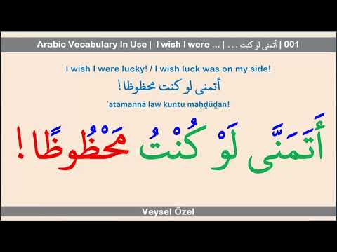 Arabic Vocabulary In Use | I wish I were ... | (... أتمنى لو كنت) | 001
