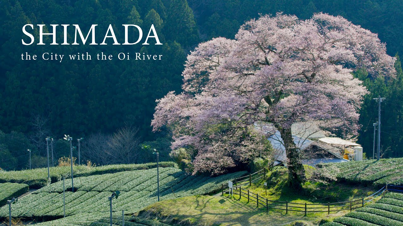 Shimada City, Japan in 8K HDR - 島田市 大井川と生きるまち - YouTube