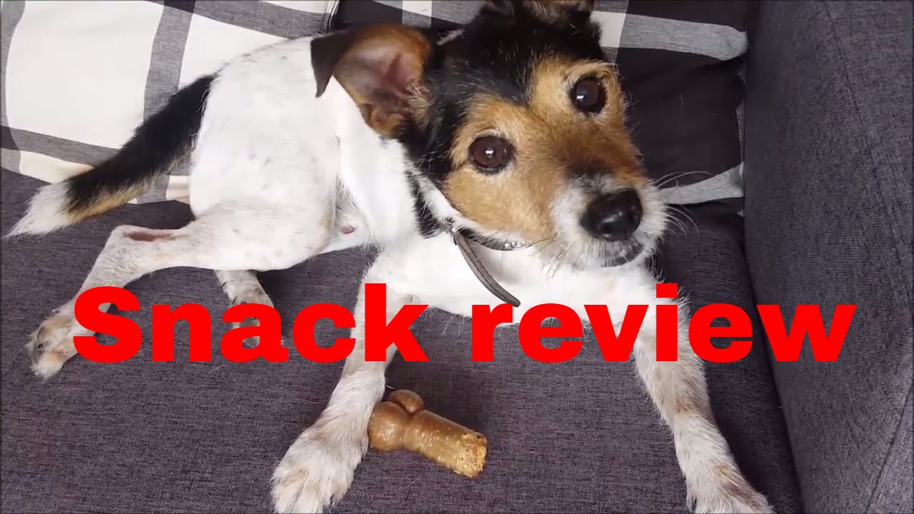 Dog snack review 1. Joe The Dog - YouTube