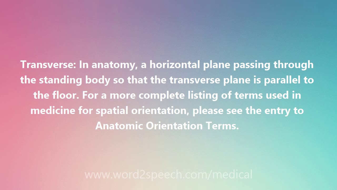 Transverse - Medical Definition - YouTube