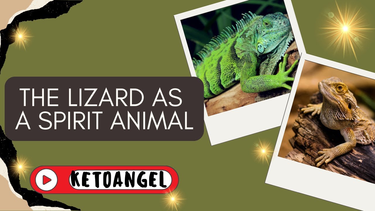 Lizard Spirit Animal: The Symbolism Explained - YouTube