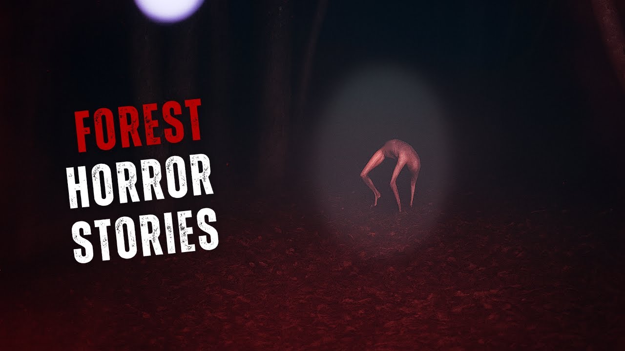 3 Scary TRUE Forest Horror Stories That Happened Deep in the Woods ...
