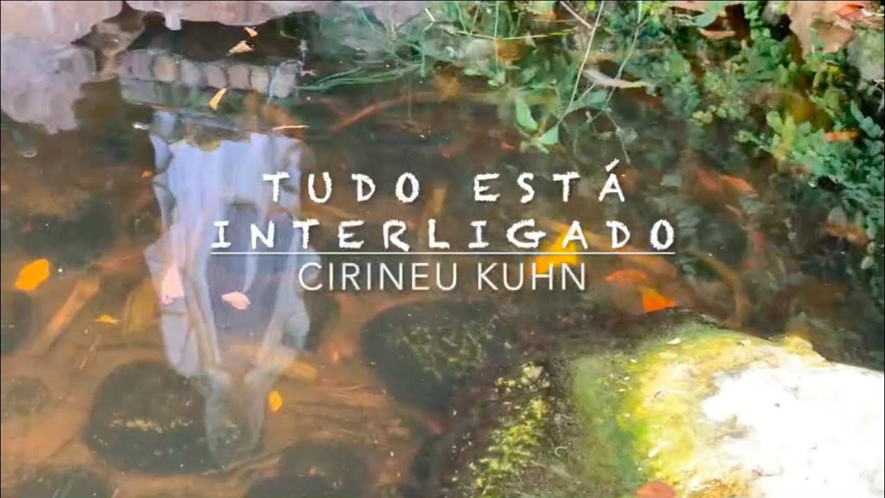 PLAYBACK - Tudo está interligado - YouTube
