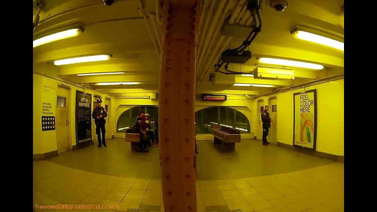 Transit District 4 NYPD Officers Caught Hunting And Creating Honey ...