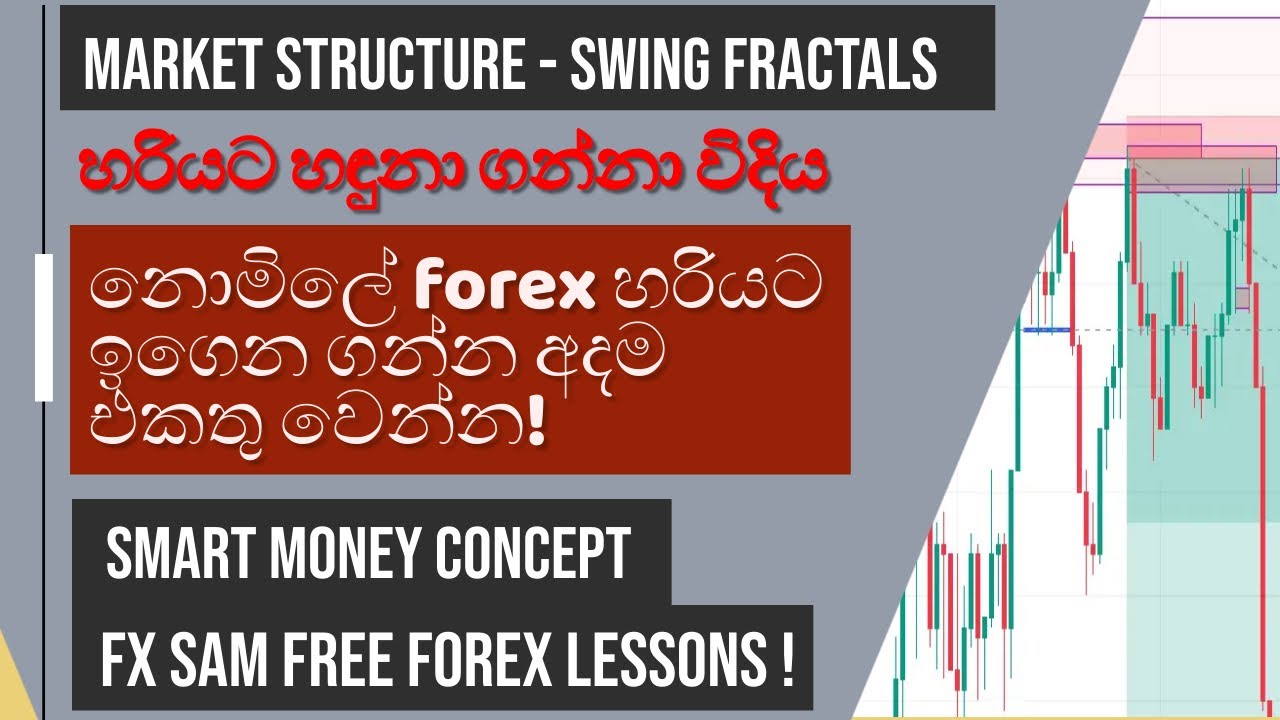 Market Structure Forex / Swing Fractals / SMC Lesson Sinhala / FX SAM / 2023 - YouTube
