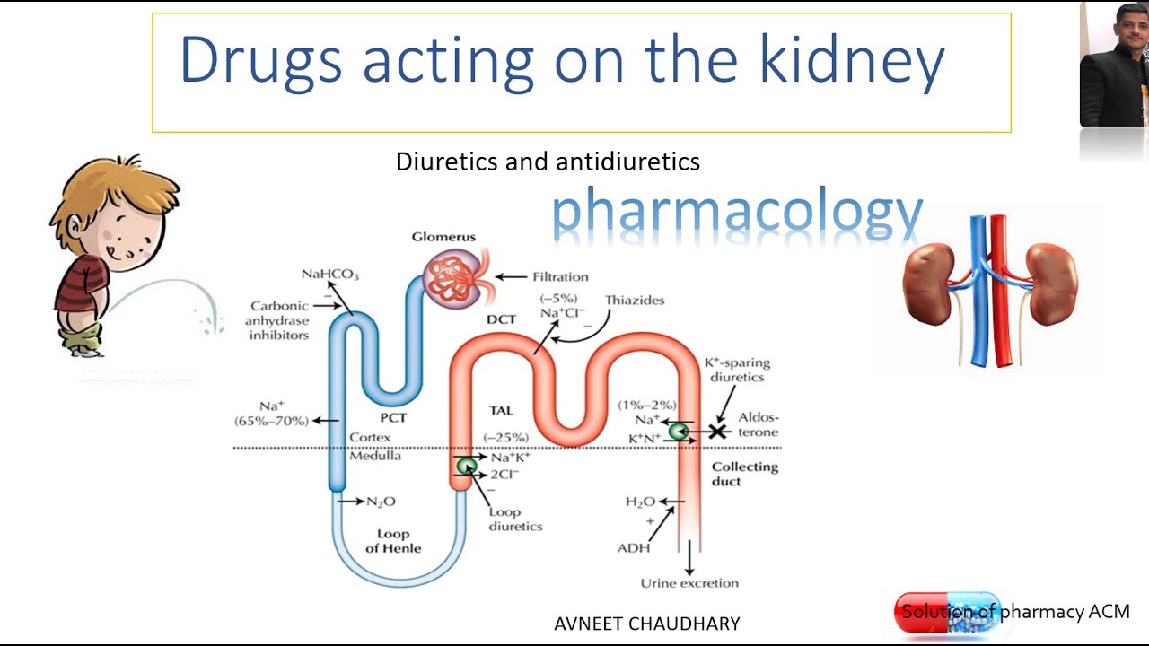 Diuretics and antidiuretics || classification || pharmacology || made ...