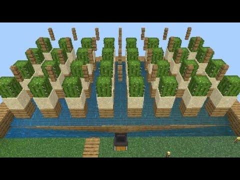 How to make an auto Cactus Farm in CubeCraft Skyblock 2025 - YouTube
