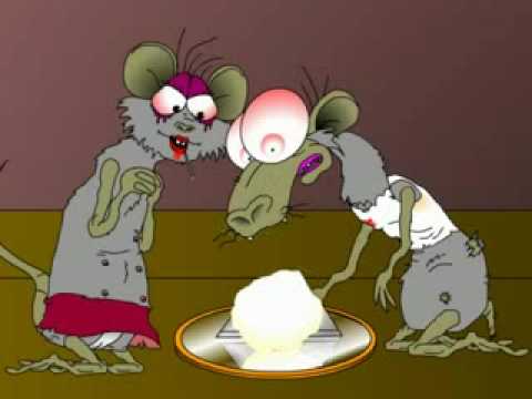 Rats on Cocaine #1 - Late [HQ] - YouTube