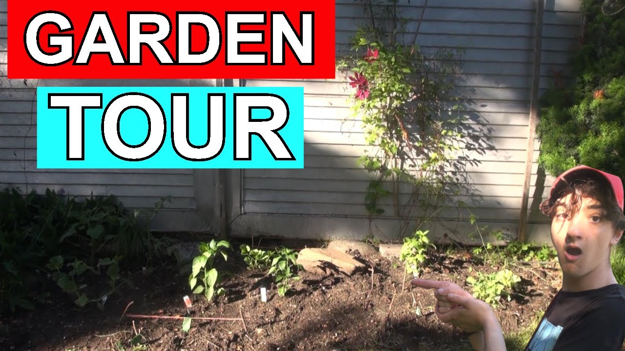 I BUILT MY OWN GARDEN (GARDEN TOUR) - YouTube