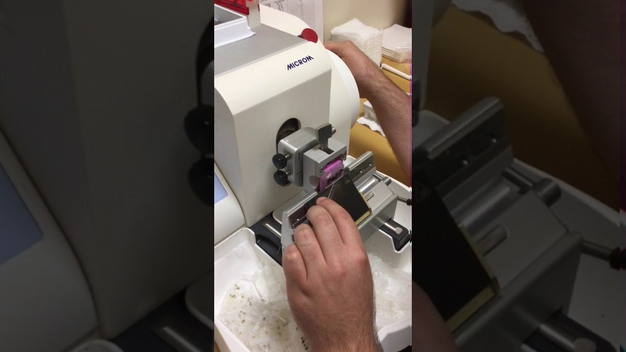 Sectioning FFPE samples on a microtome - YouTube