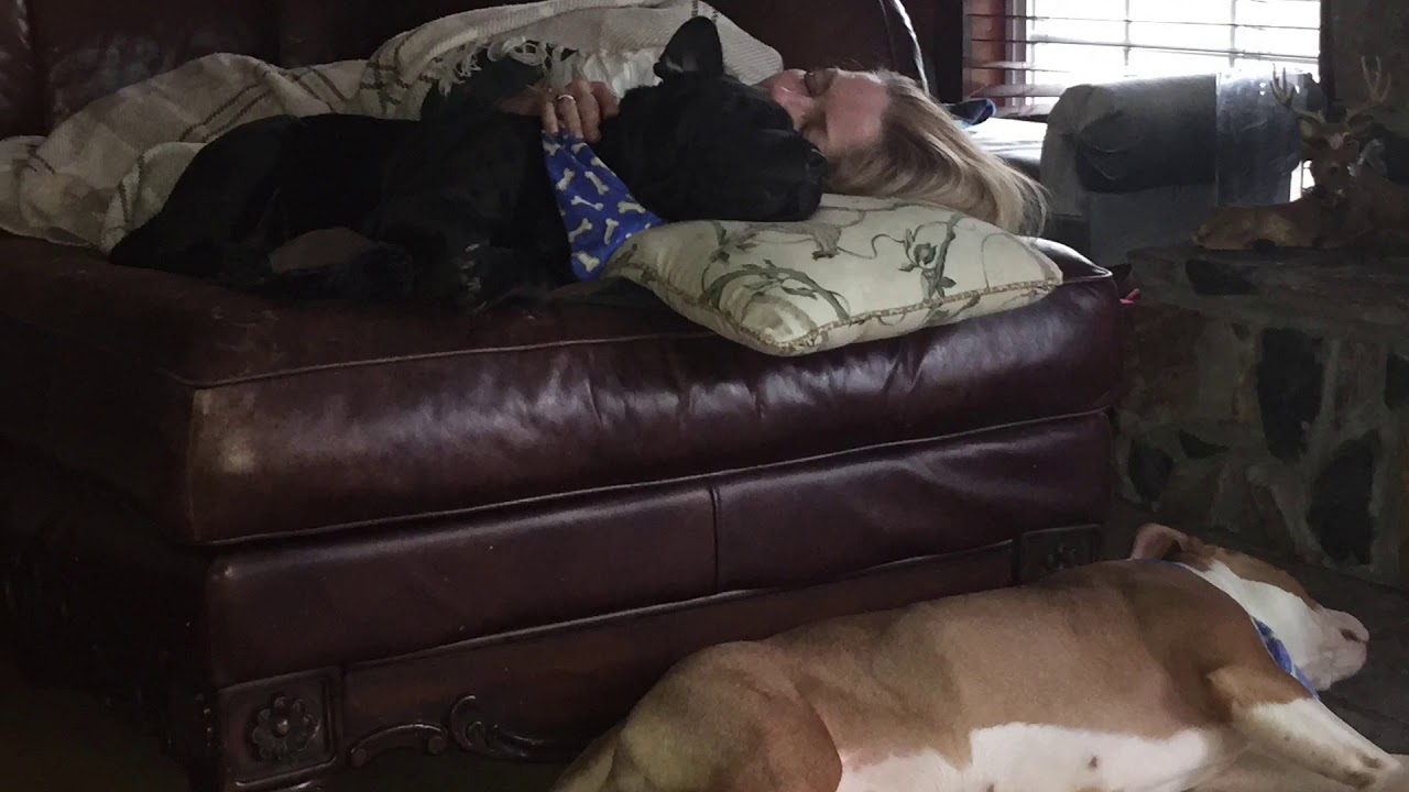 The Life of Pigglets - YouTube