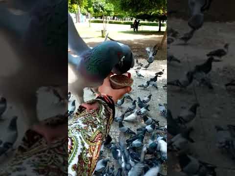 Günaydın ❤❤❤