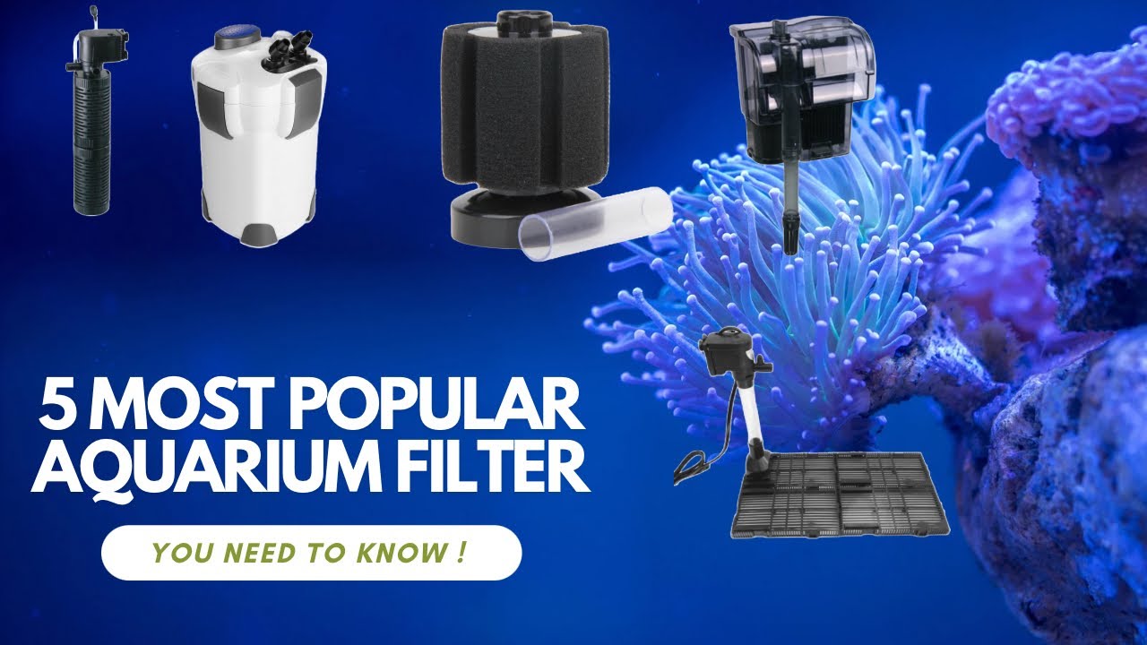 5 most POPULAR aquarium filter that you MUST know - YouTube