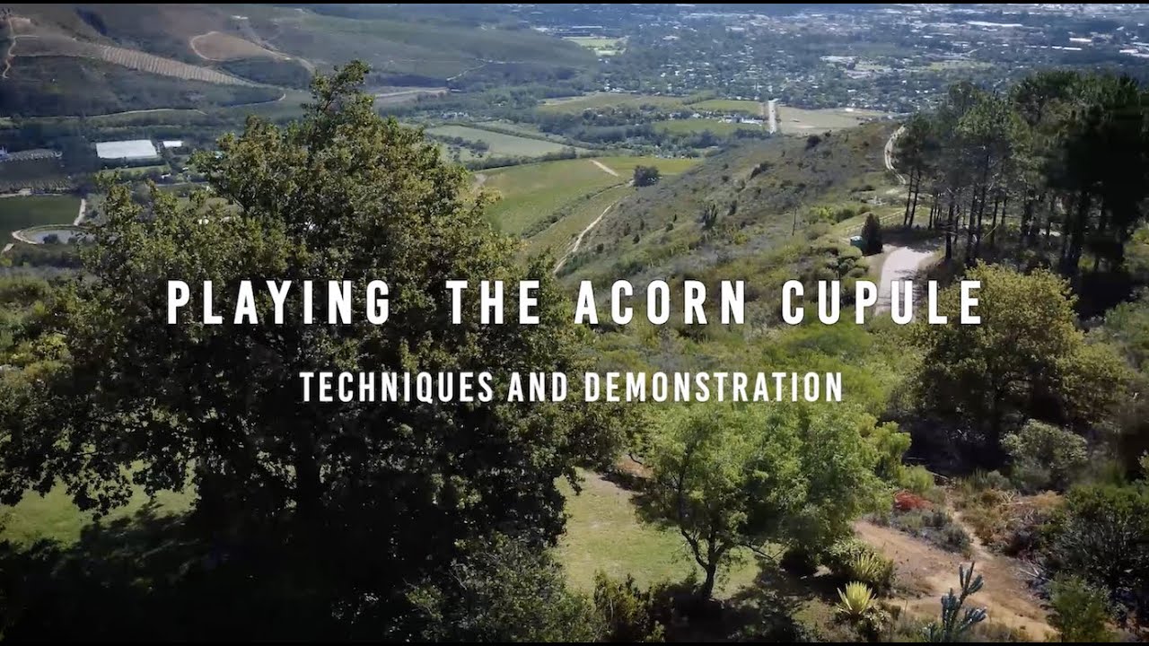 Playing the acorn cupule - YouTube