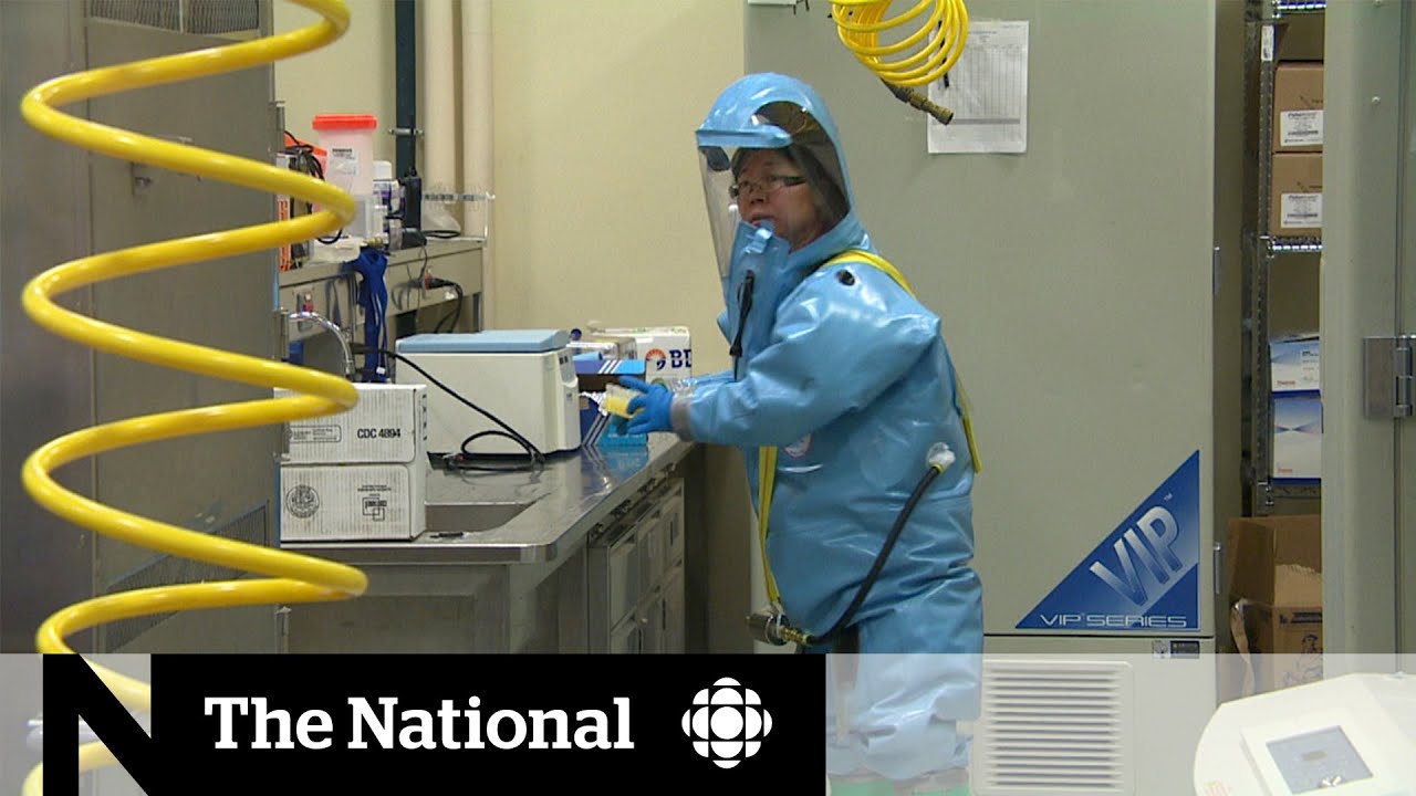 Canadian scientist sent deadly viruses to Wuhan lab months before RCMP ...