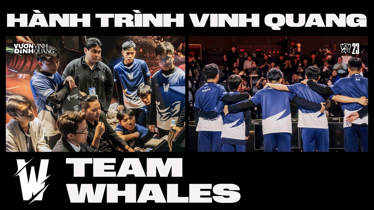 Hành Trình Vinh Quang - Team Whales | CKTG 2023 - YouTube