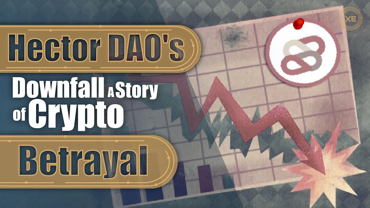 Hector DAO's Downfall: A Story of Crypto Betrayal - YouTube