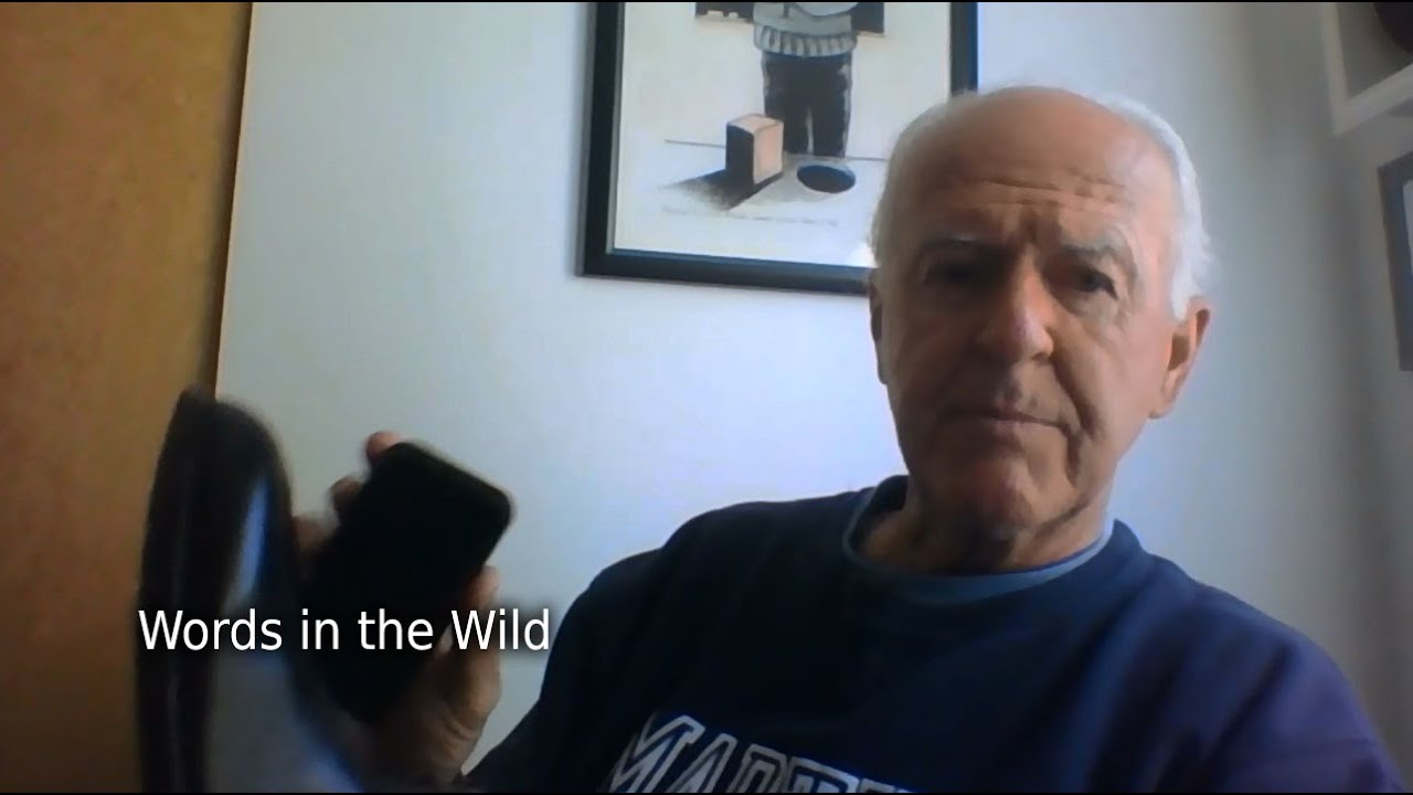 Words in the Wild 1.4 - YouTube