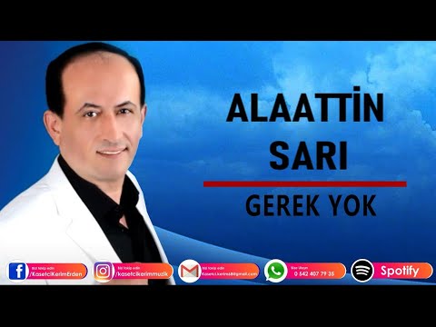 ALAATTİN SARI - GEREK YOK