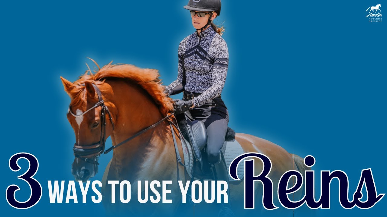 The Three Functions of Your Reins - YouTube