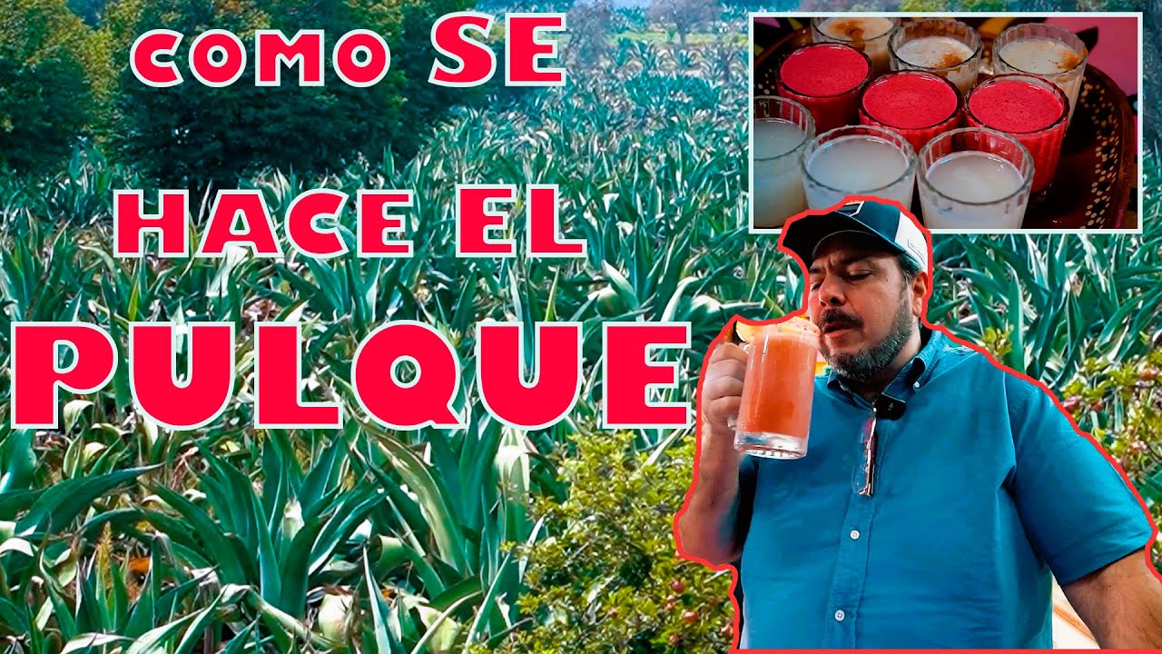 PULQUE : COMO SE HACE DESDE CERO l La Vaquita - YouTube