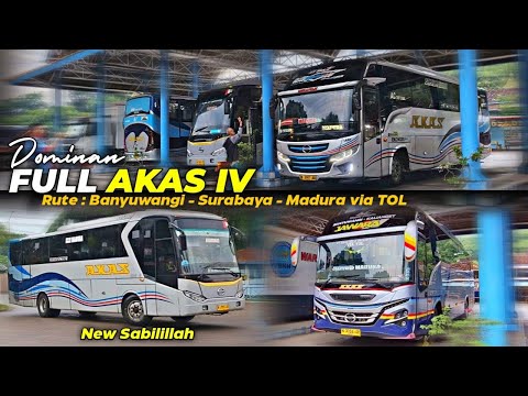 WOW 🔥AKAS IV Bus Tarif Tertib dan Anti Oper Banyuwangi - Madura || 2026